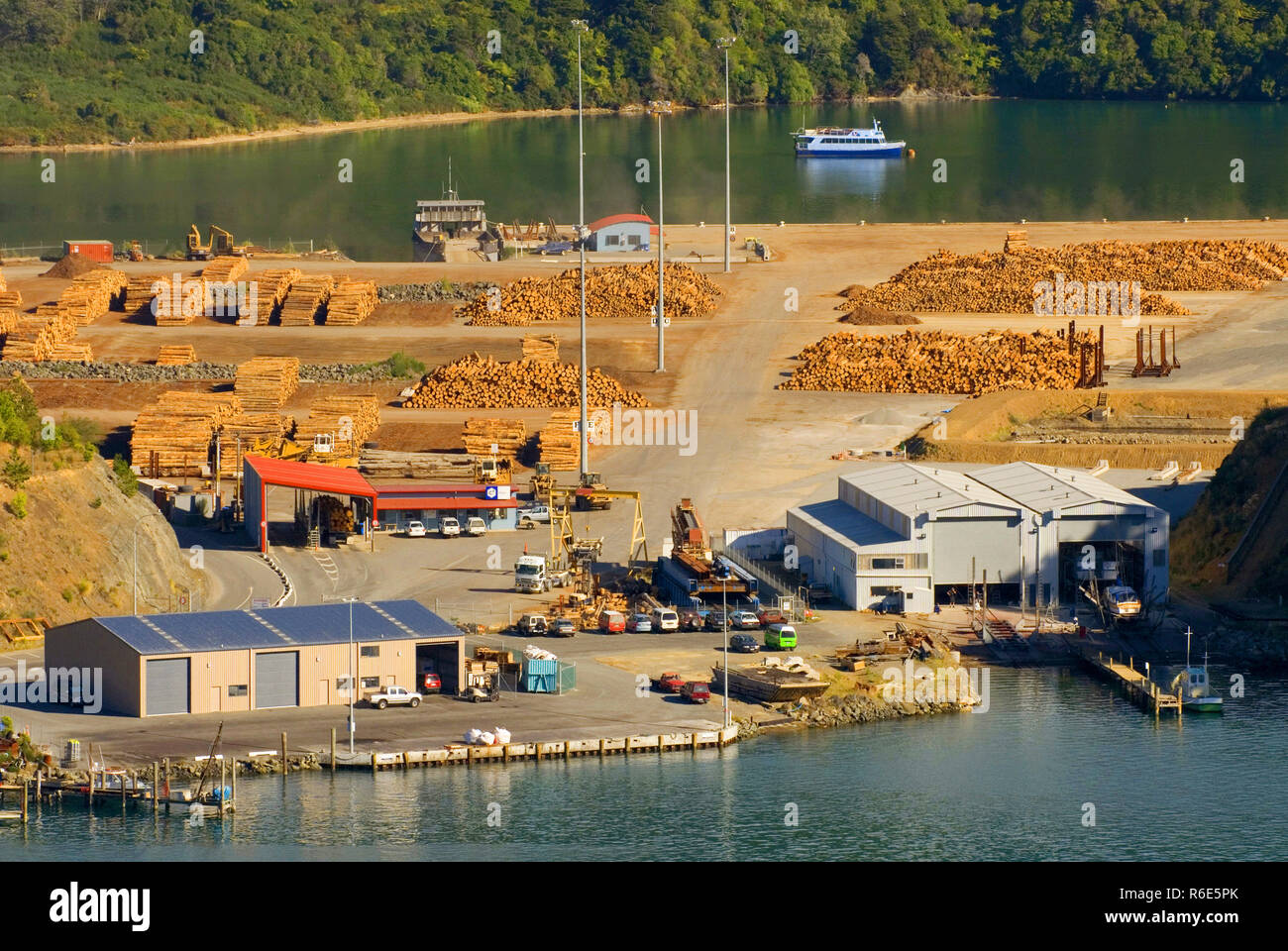 Stacks Of Tree Trunks Ready For Export By Sea In Wellington Port, New ...