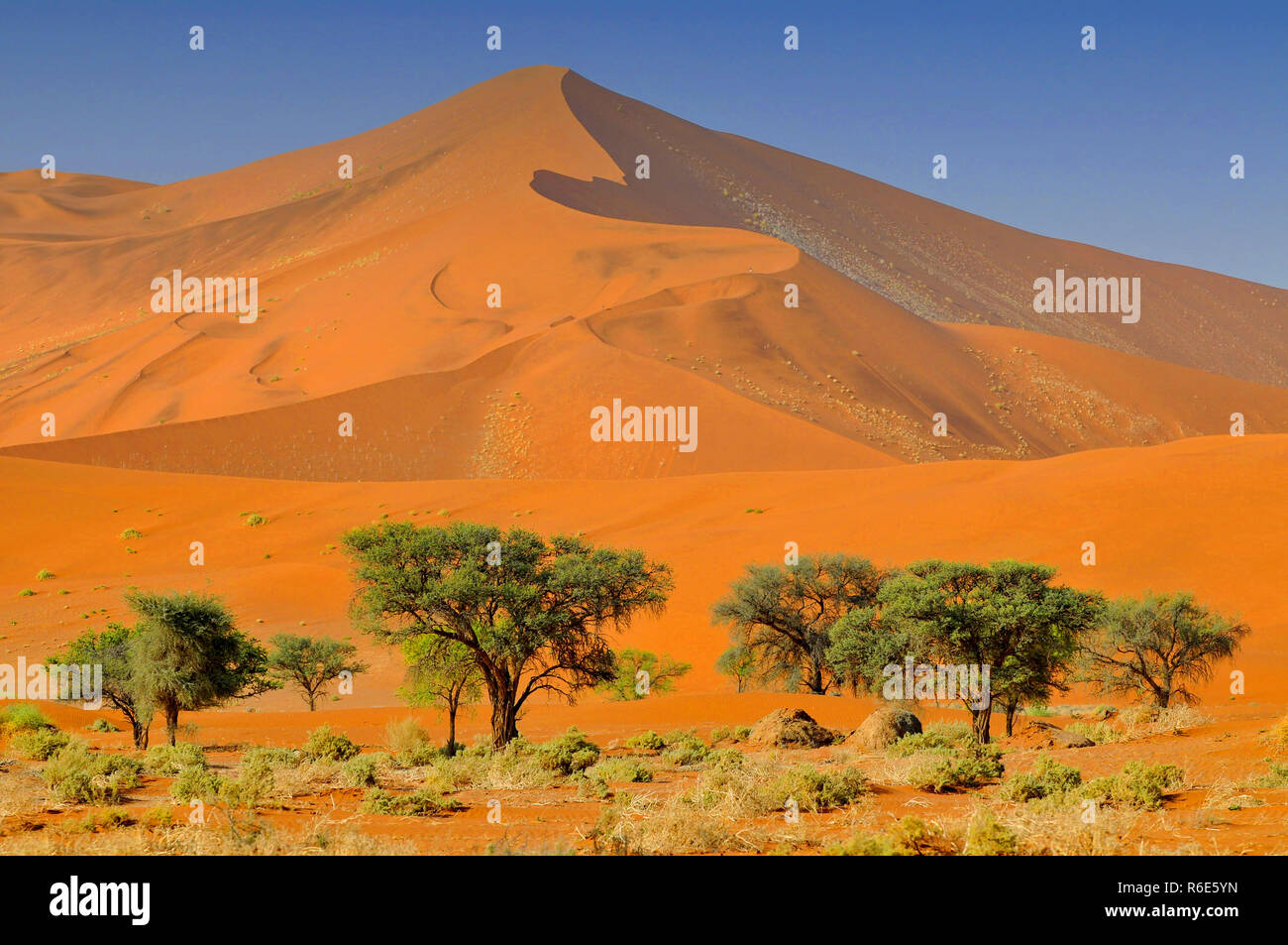Red sand dunes namibia hi-res stock photography and images - Alamy