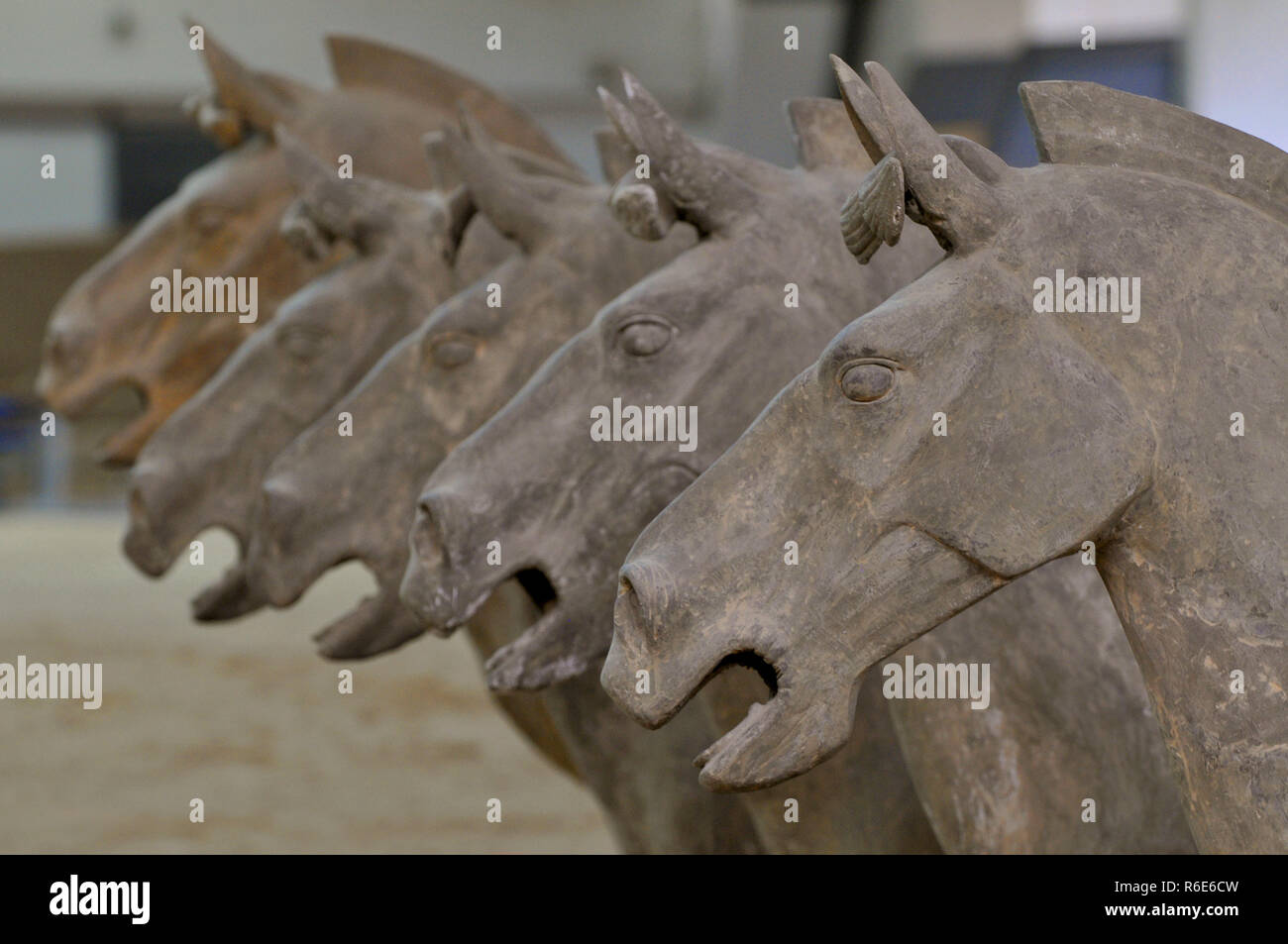Horses Of The Terracotta Warriors Army In Xian, Republic Of China, Asia ...
