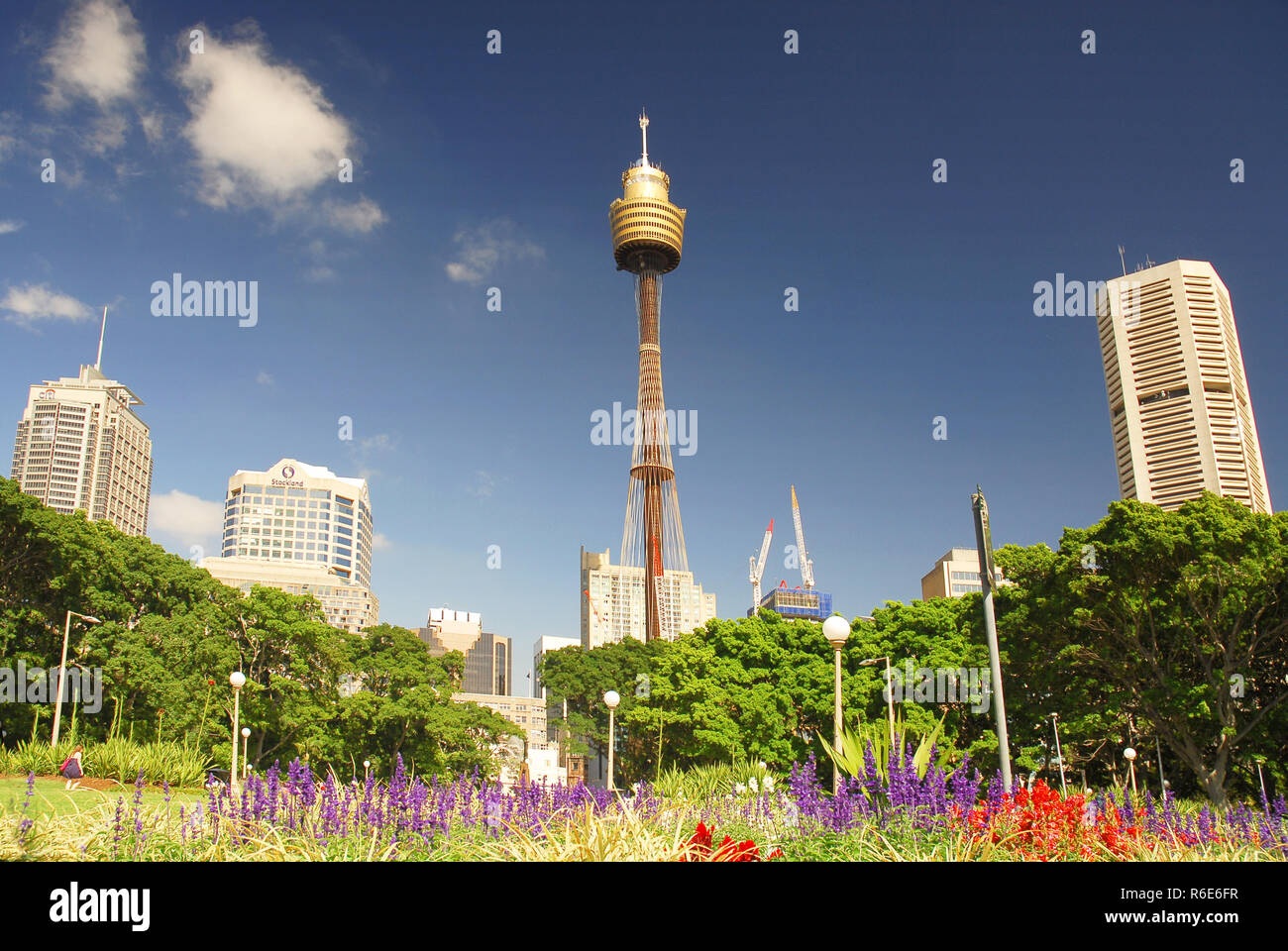 General Landscape View Of Sydney Tower And Hyde Park, The Oldest Public ...