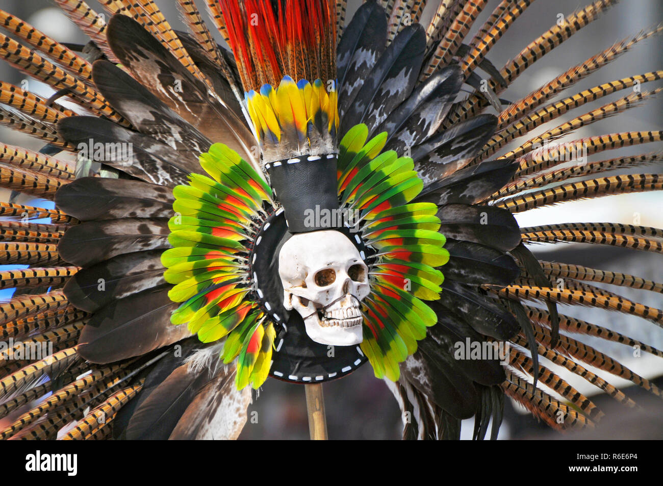 Feathers From The Headdress Of An Aztec Dancer In Plaza De La ...