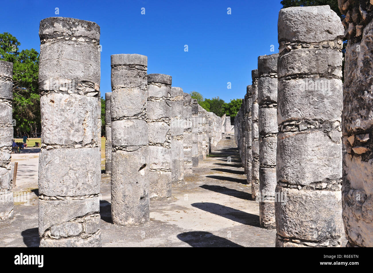 The Columns In The Thousand Warriors Temple Complex Inside The Maya ...