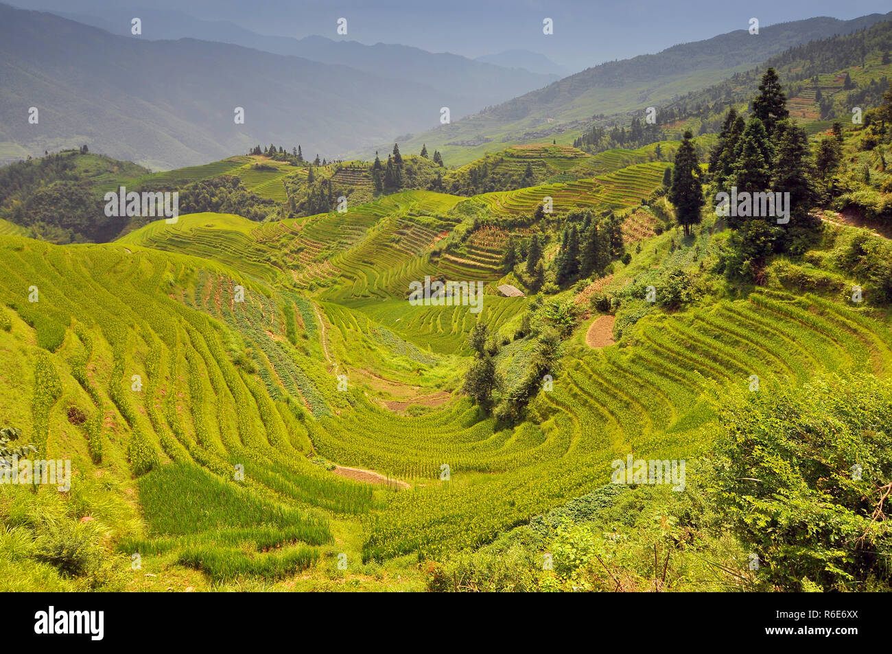 Dragons Backbone Rice Terraces, Longji Titian, Guilin, Guangxi, China ...