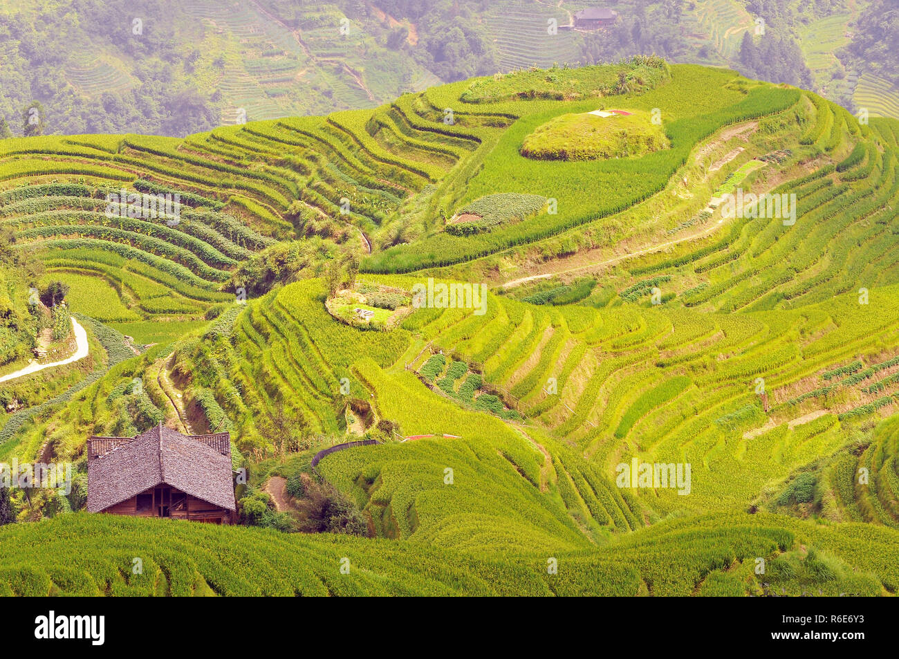 Longji Terraces Rice Fields Near Guilin, Guangxi, China Stock Photo - Alamy