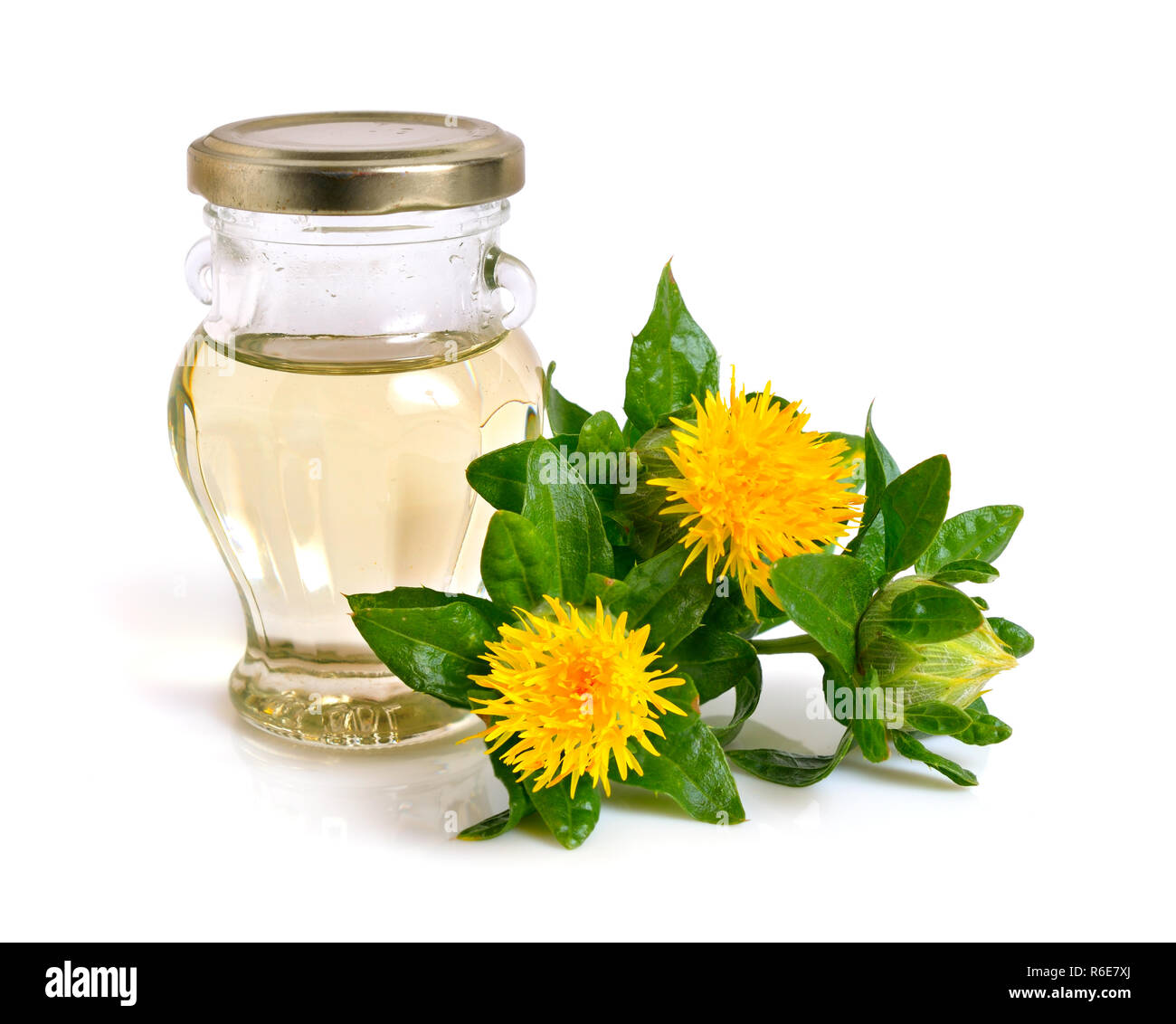 Safflower plant with oil in the bottle. Isolated on white background ...