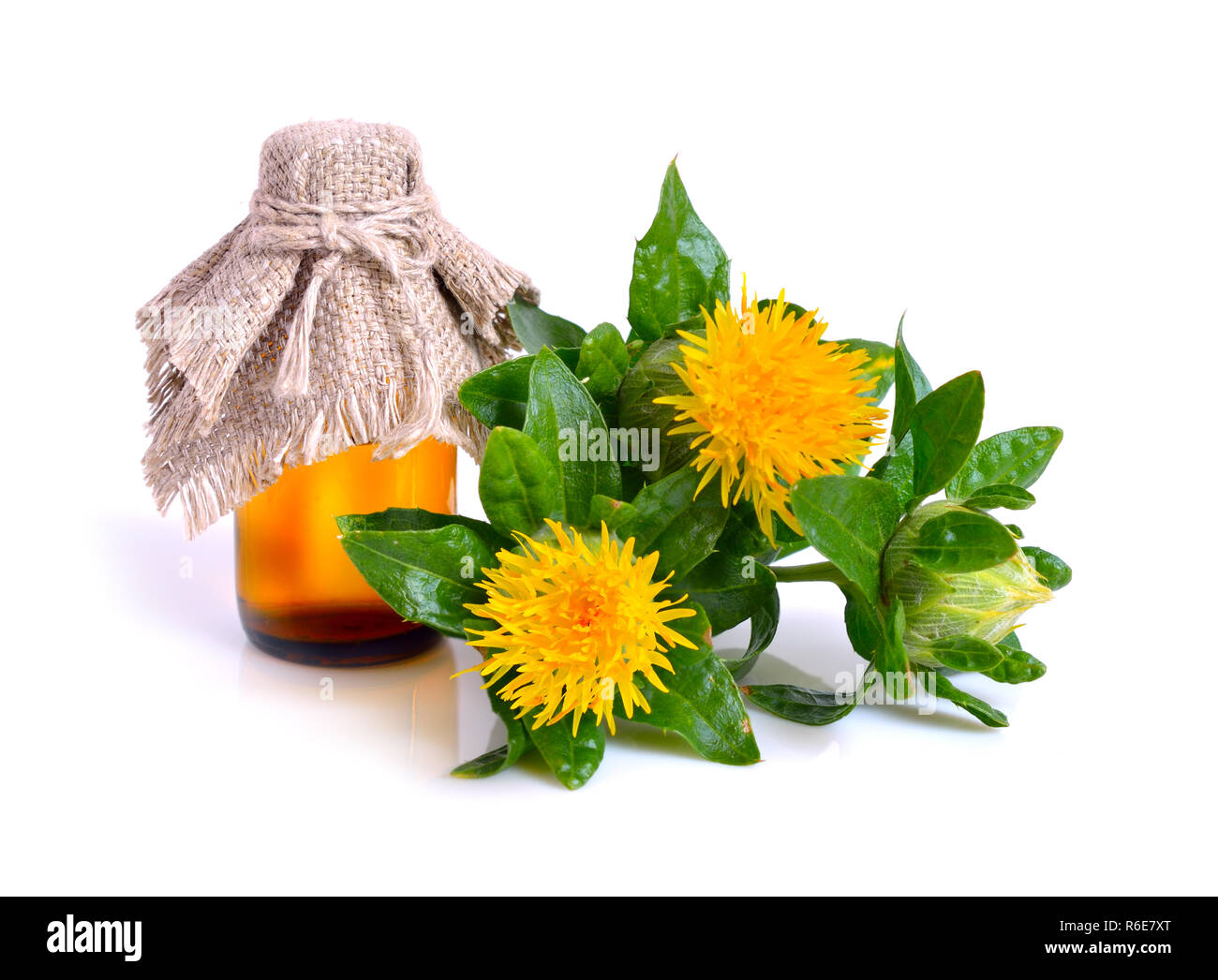 Safflower plant with oil in the bottle. Isolated on white background ...