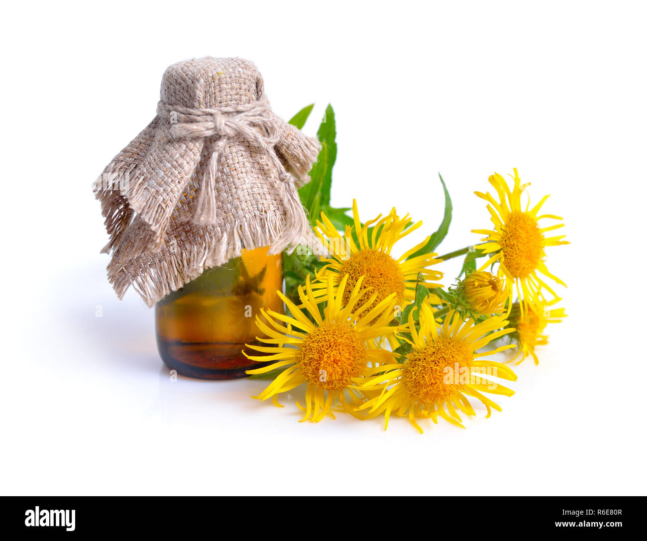 Inula with pharmaceutical botlle isolated on white background Stock ...