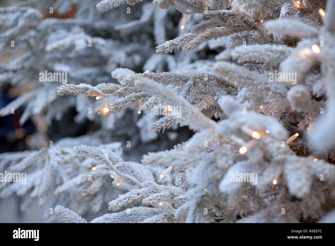 Close up of christmas tree hi-res stock photography and images - Alamy