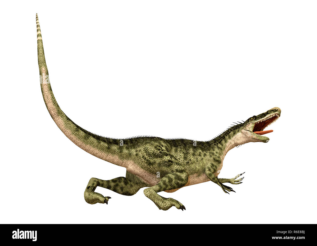 3D Rendering Dinosaur Monolophosaurus on White Stock Photo - Alamy