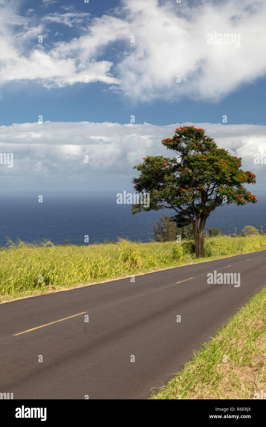 Pa'auilo, Hawaii - A rural road on the Big Island's Hamakua Coast above ...