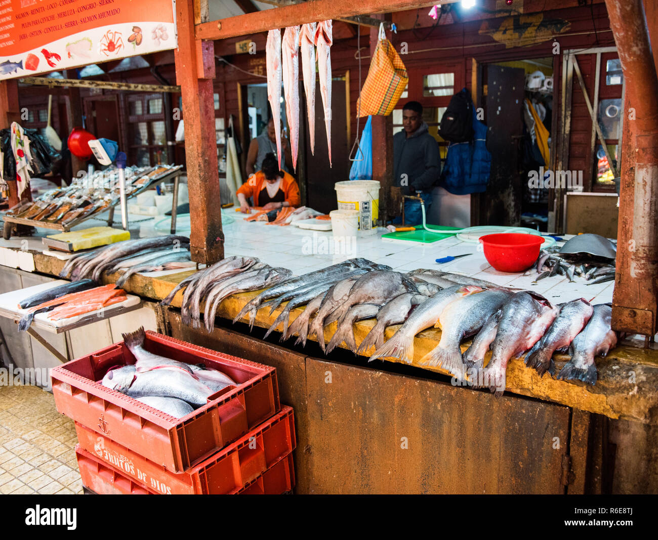Chile puerto montt fish hi-res stock photography and images - Alamy