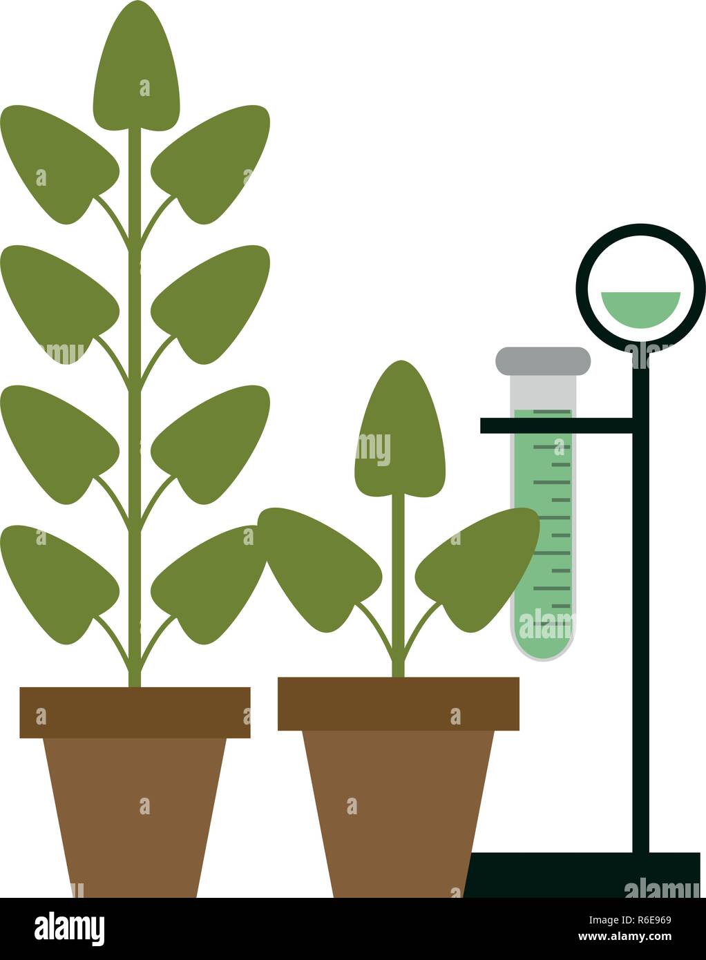 Plant experiments Stock Vector Images - Alamy