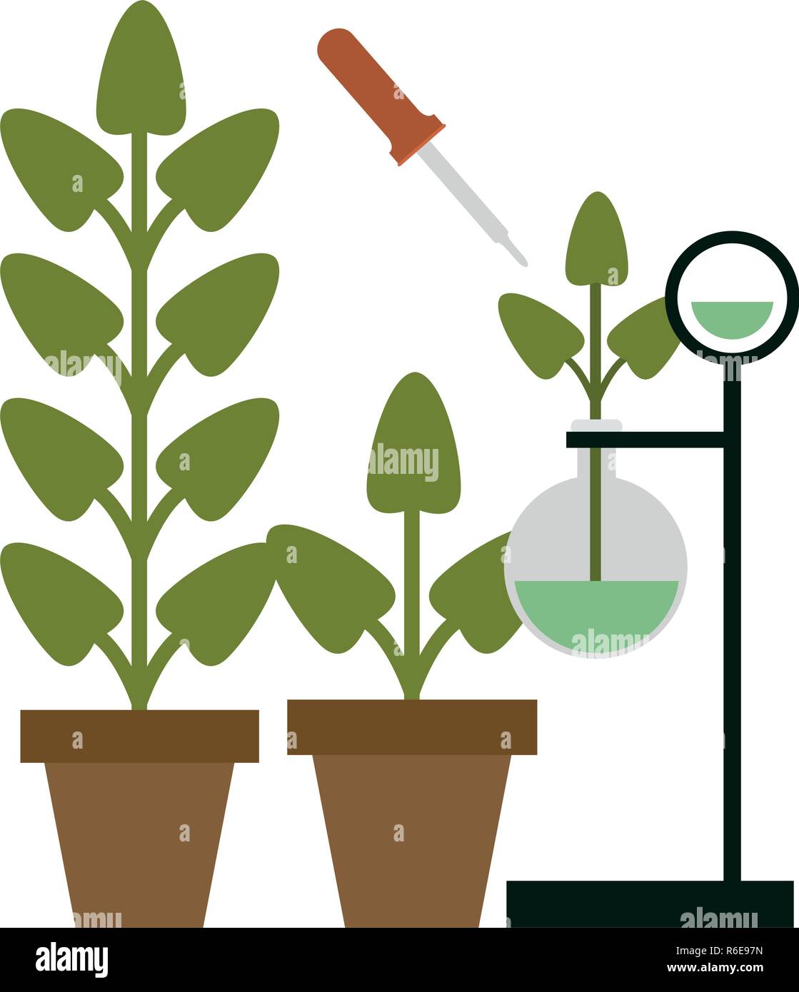 Laboratory plants Stock Vector Images - Alamy