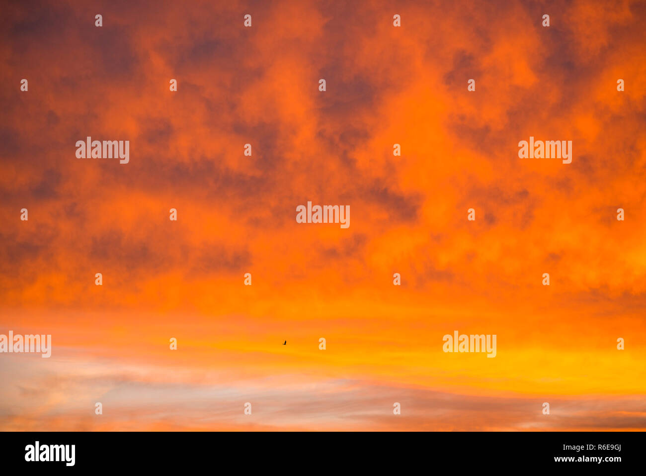 Sky With Red Clouds During Sunrise Stock Photo - Alamy