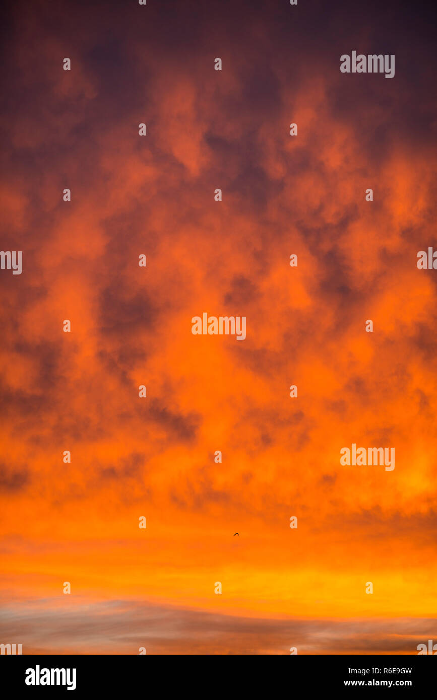 Sky With Red Clouds During Sunrise Stock Photo - Alamy