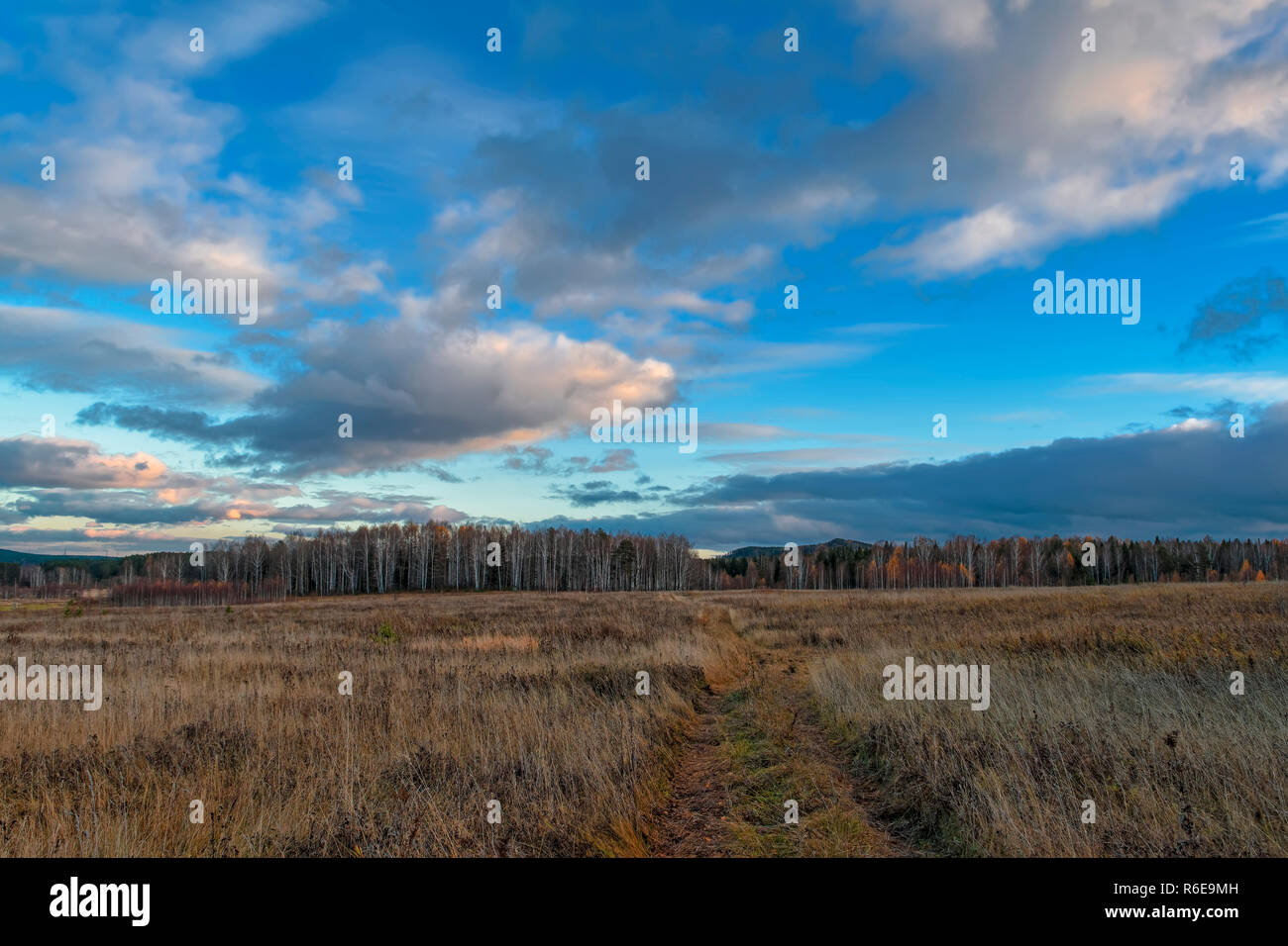 Autumn landscape with dried grass in the meadow on the background of ...