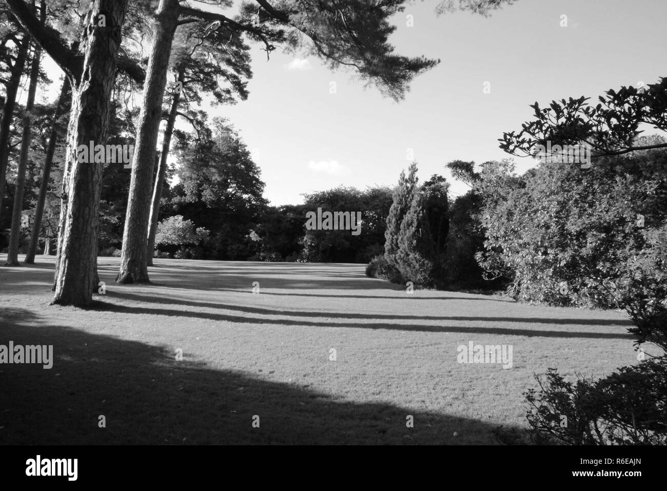 Golf course Black and White Stock Photos & Images - Alamy