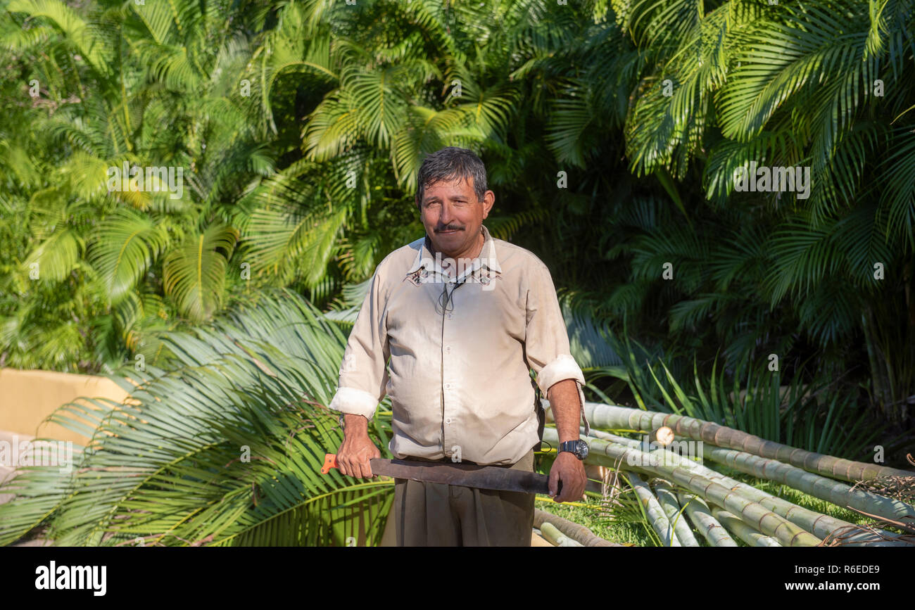 Mexican man working in garden hi-res stock photography and images - Alamy