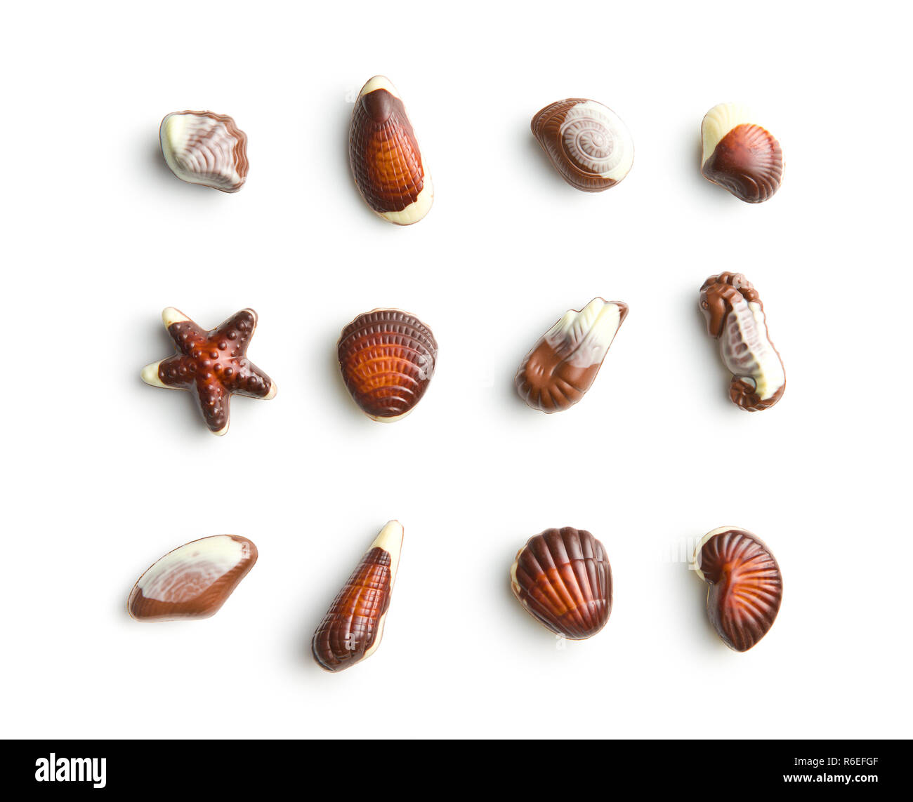 Sweet chocolate seashells Stock Photo - Alamy