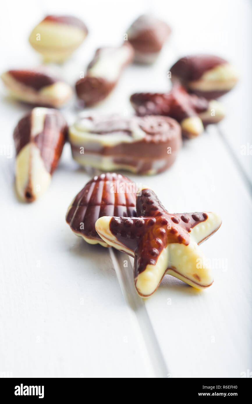 Belgian Chocolate Seashells High Resolution Stock Photography and ...