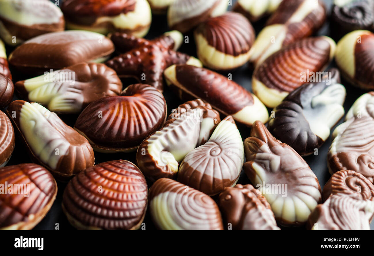 Sweet chocolate seashells Stock Photo - Alamy