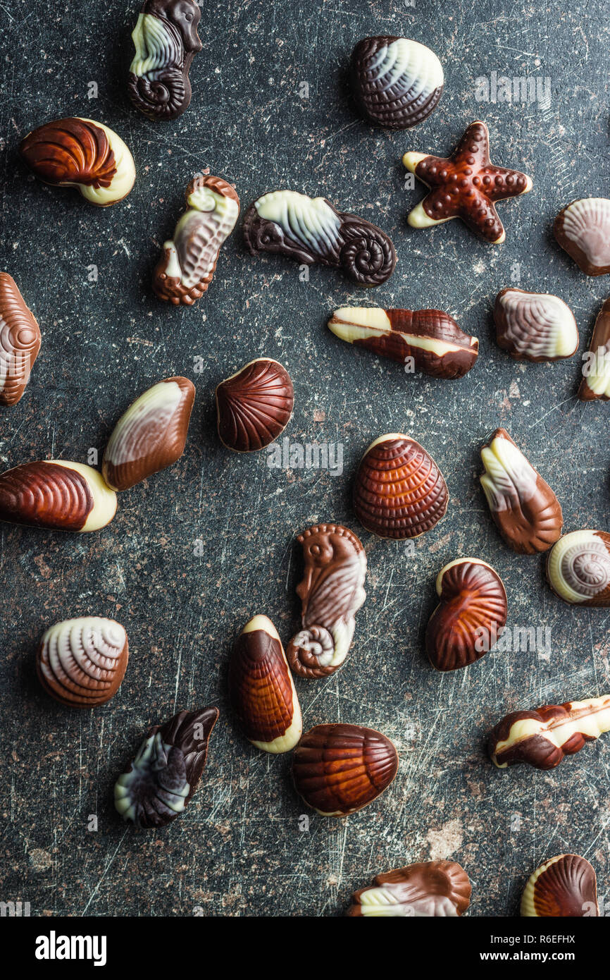 Sweet chocolate seashells Stock Photo - Alamy