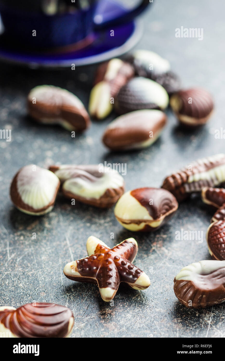 Belgian Chocolate Seashells High Resolution Stock Photography and ...