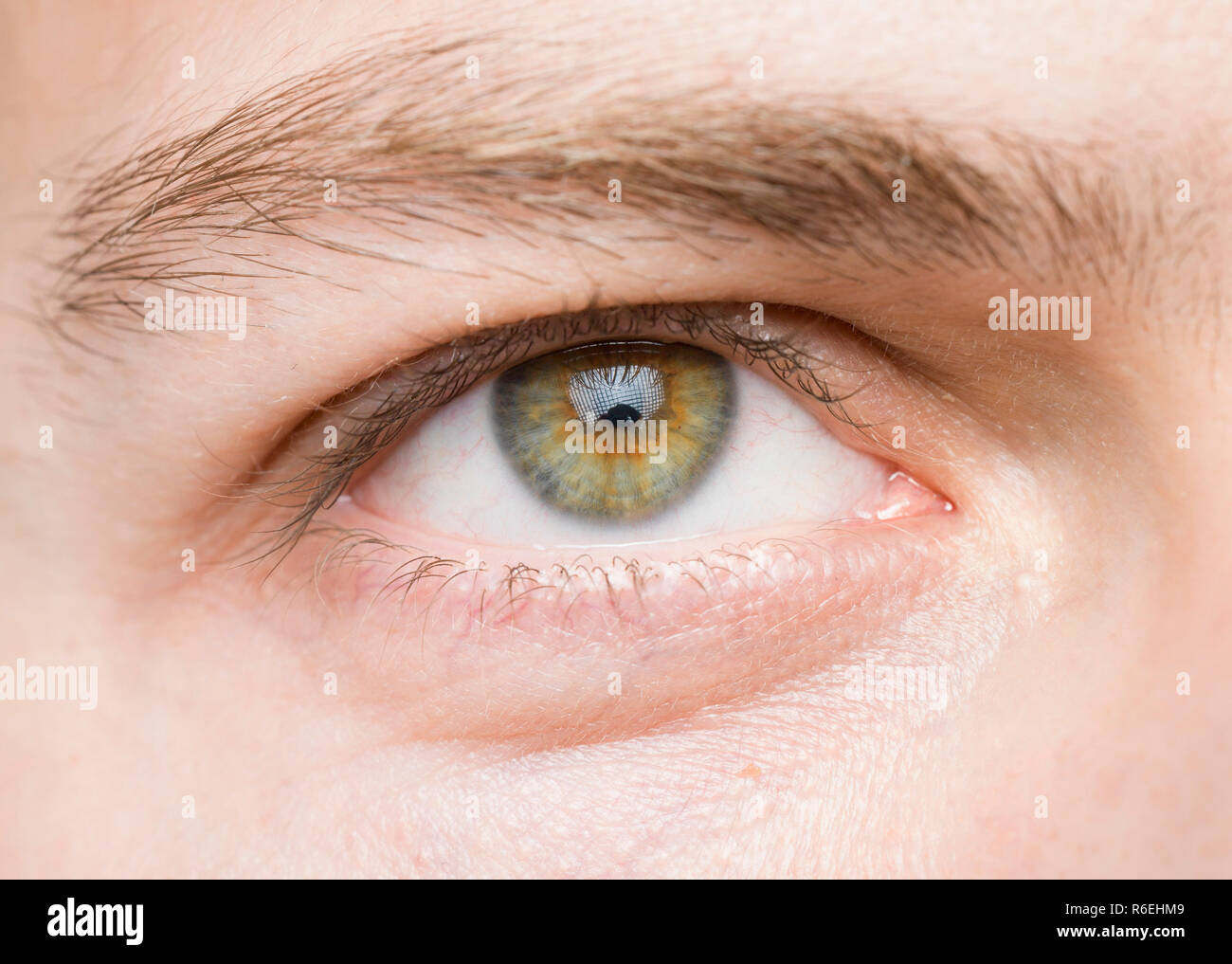 it's all in the eyes Stock Photo - Alamy