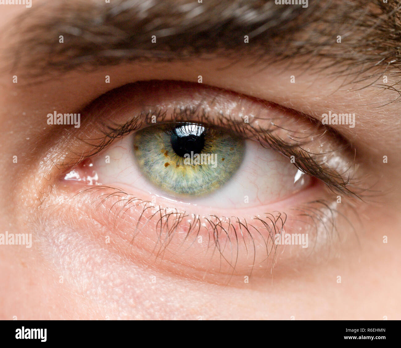 it's all in the eyes Stock Photo - Alamy