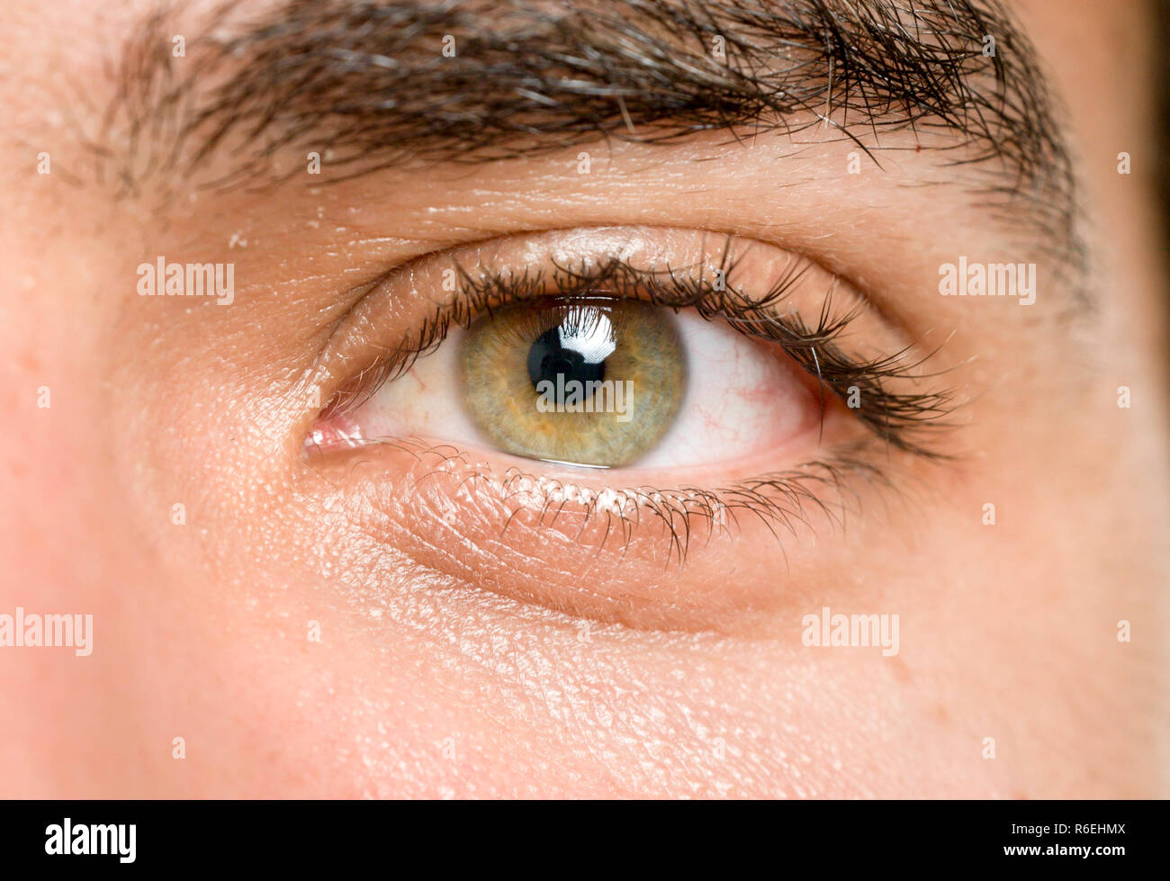 it's all in the eyes Stock Photo - Alamy