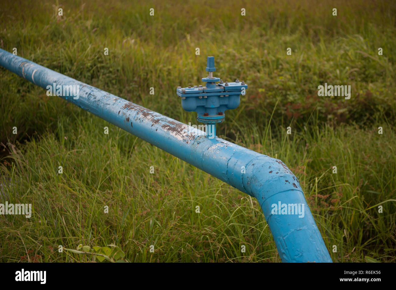 A large blue water pipeline Stock Photo - Alamy