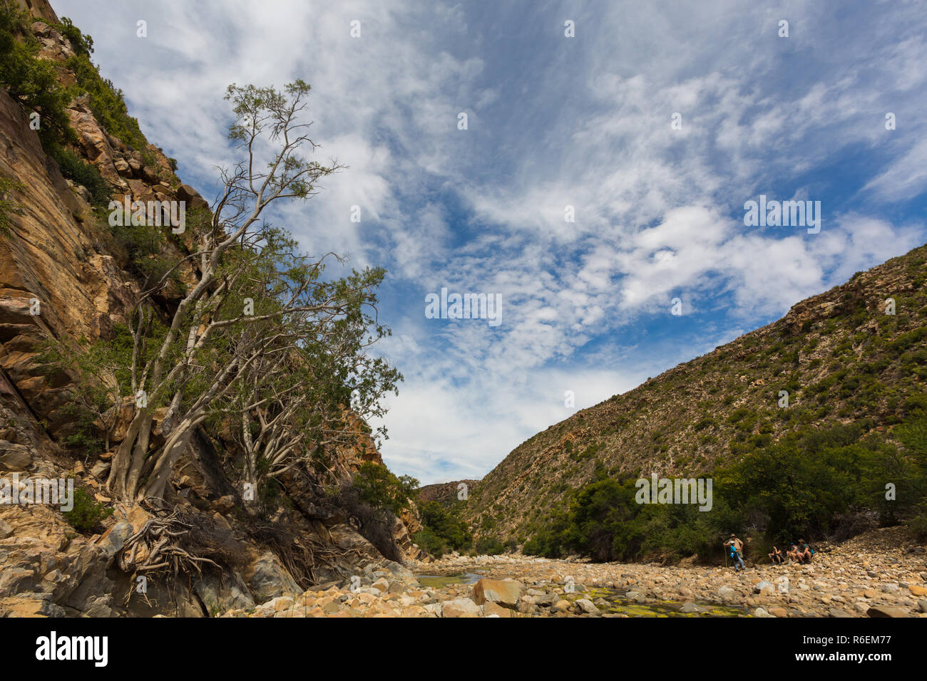 Driefontein hi-res stock photography and images - Alamy
