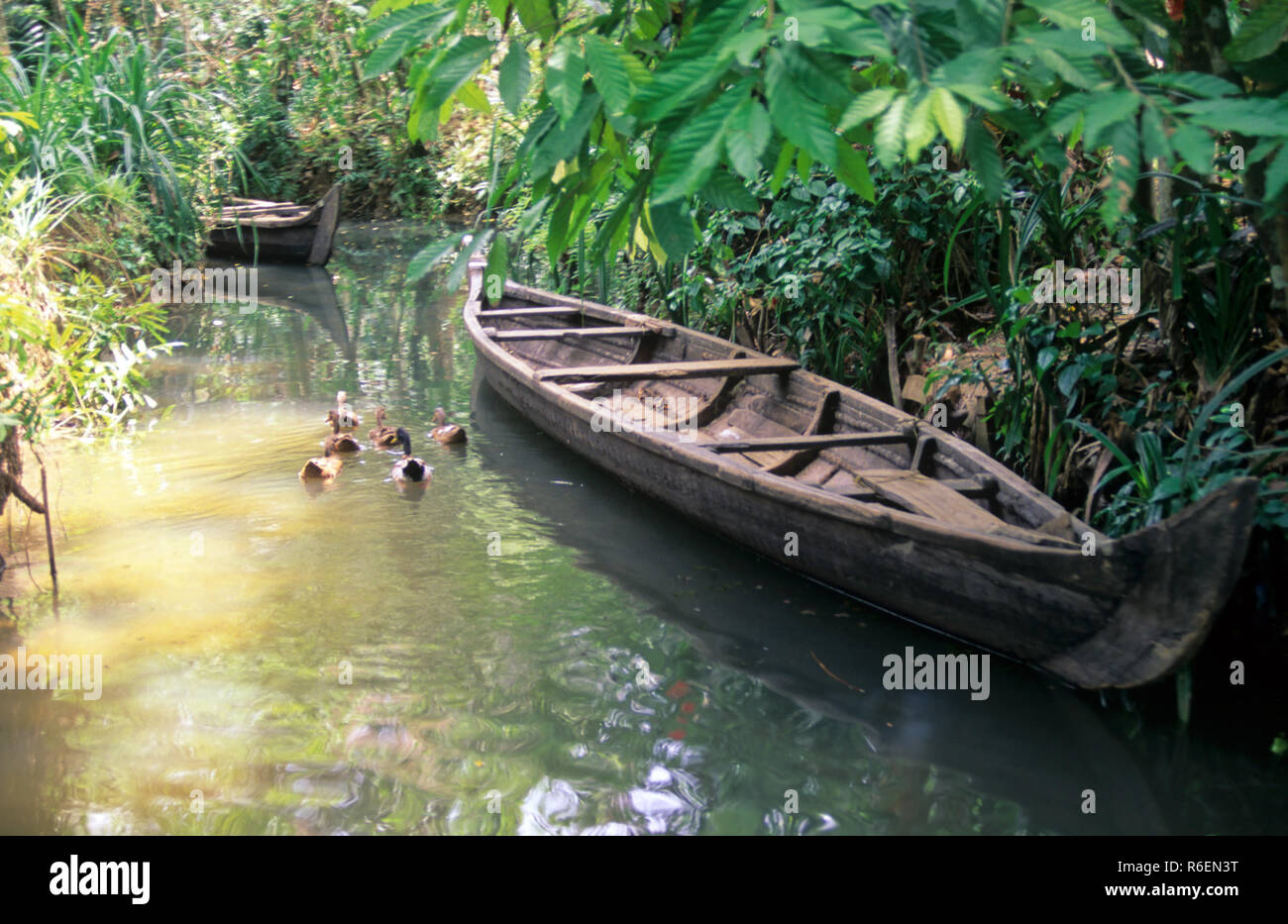 Backwater, Cochin, Kerala, India Stock Photo - Alamy