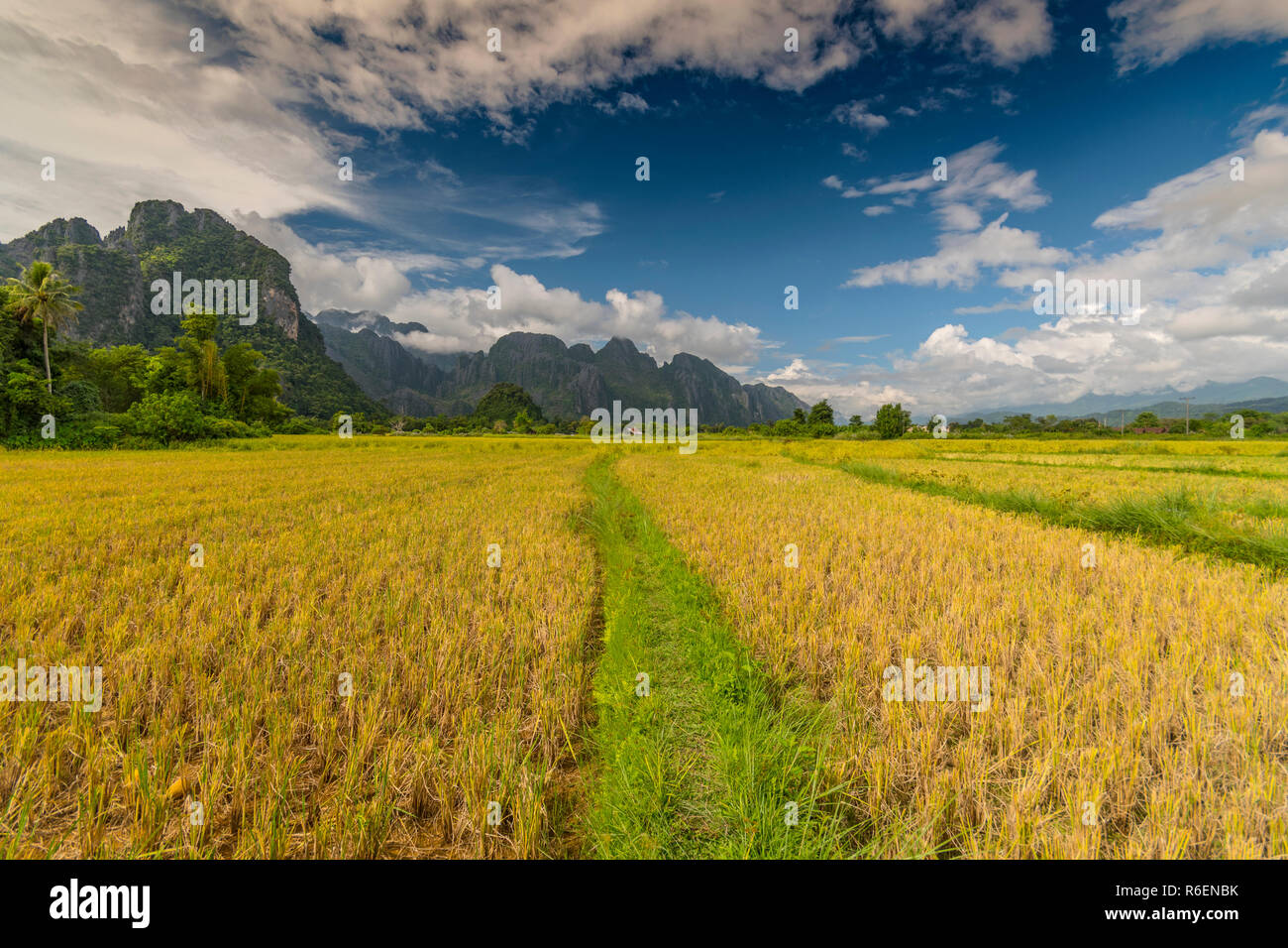 Rice Field Surrounded By Rock Formations In Vang Vieng, Laos Vang Vieng ...