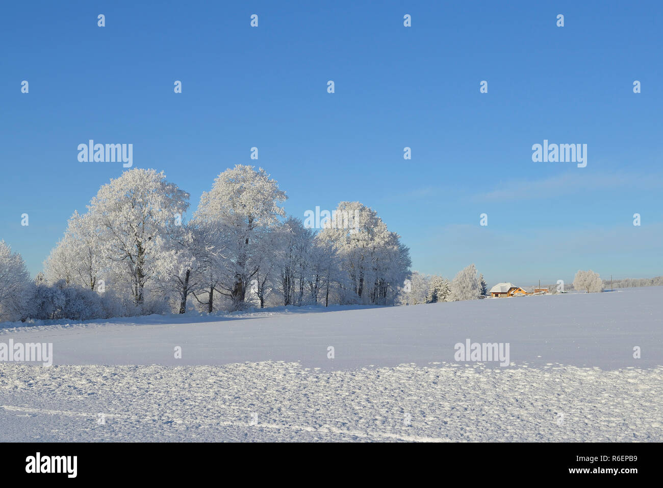 Weifaer hi-res stock photography and images - Alamy