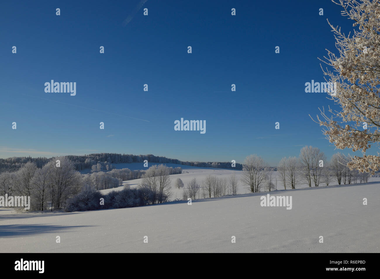 oberlausitzer bergland near weifa in winter Stock Photo - Alamy