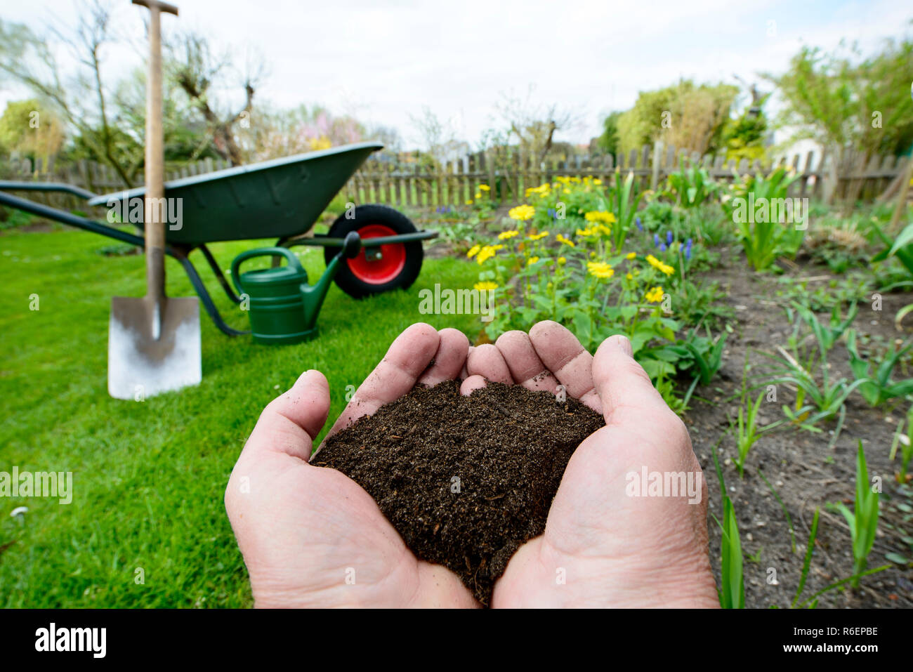 compost - natural fertilizer in the hand Stock Photo - Alamy