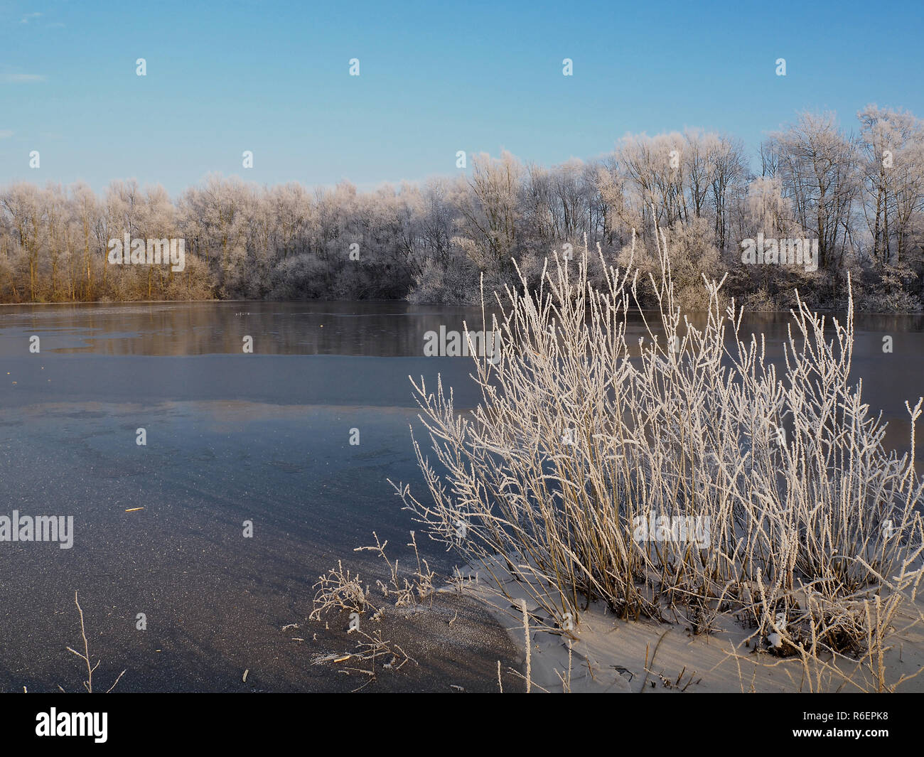 lake in the winter Stock Photo - Alamy