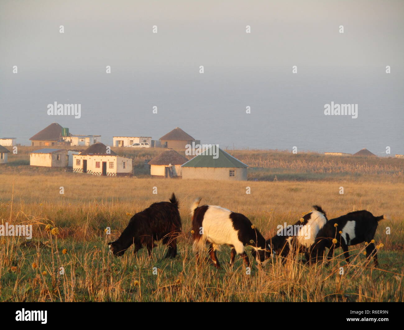 Rural homestead africa hi-res stock photography and images - Alamy
