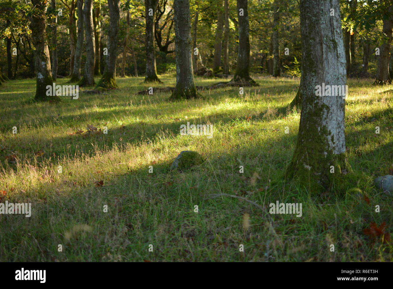 Llanbedr hi-res stock photography and images - Alamy