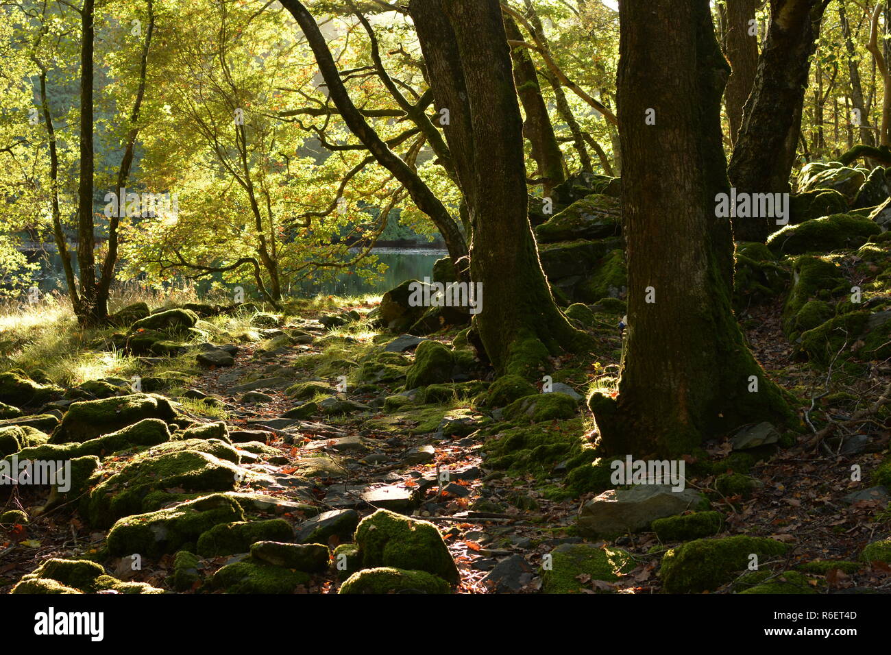 Nantcol hi-res stock photography and images - Alamy