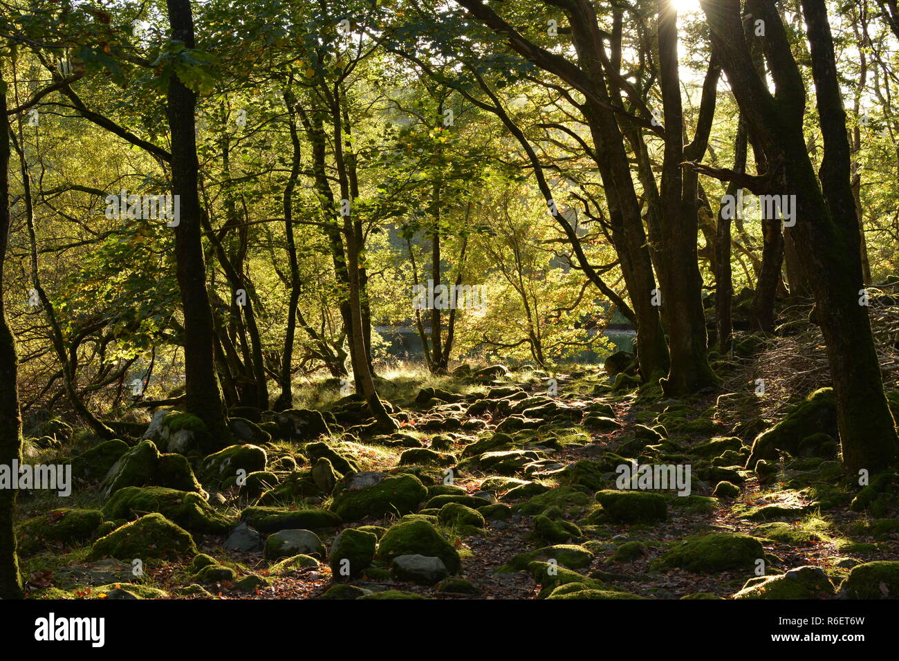 Nantcol wales hi-res stock photography and images - Alamy