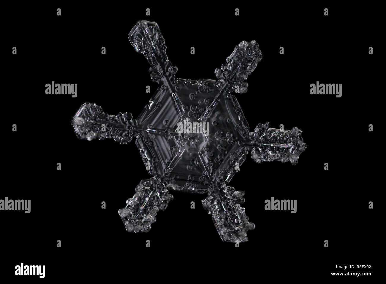 Extreme magnification - Real snowflake isolated on black background ...