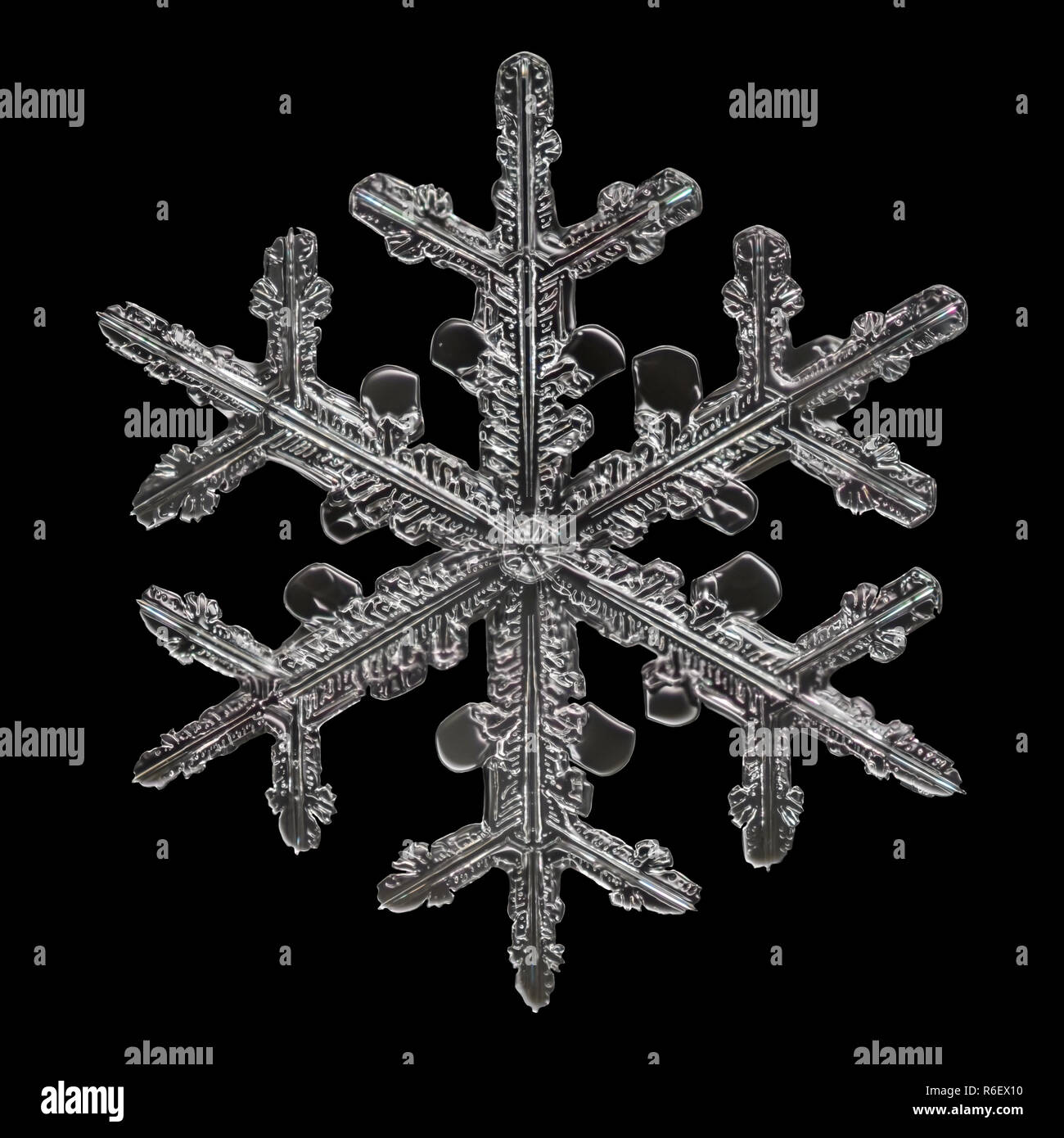 Extreme magnification - Real snowflake isolated on black background ...