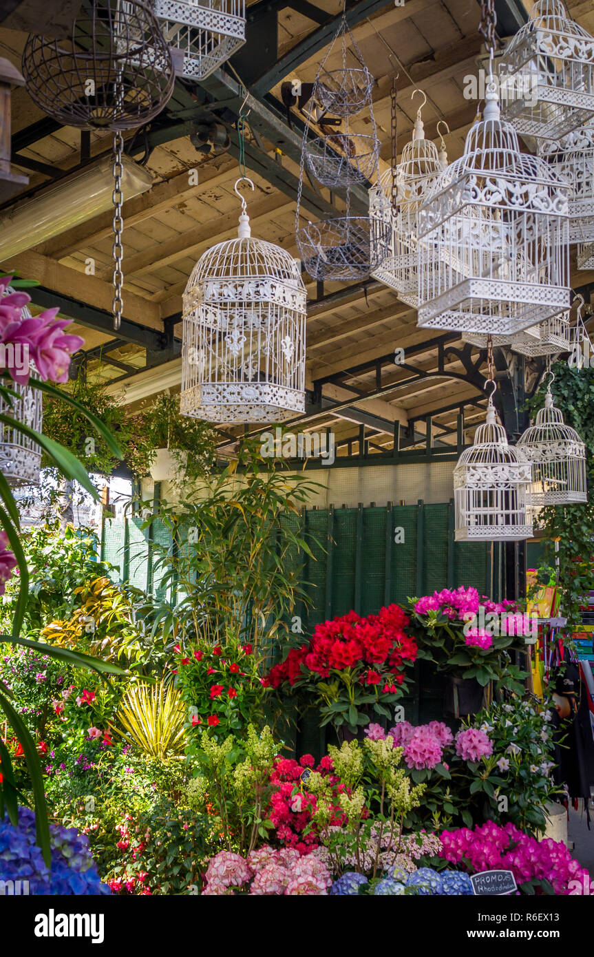 Flowers and bird cages in Paris Stock Photo - Alamy