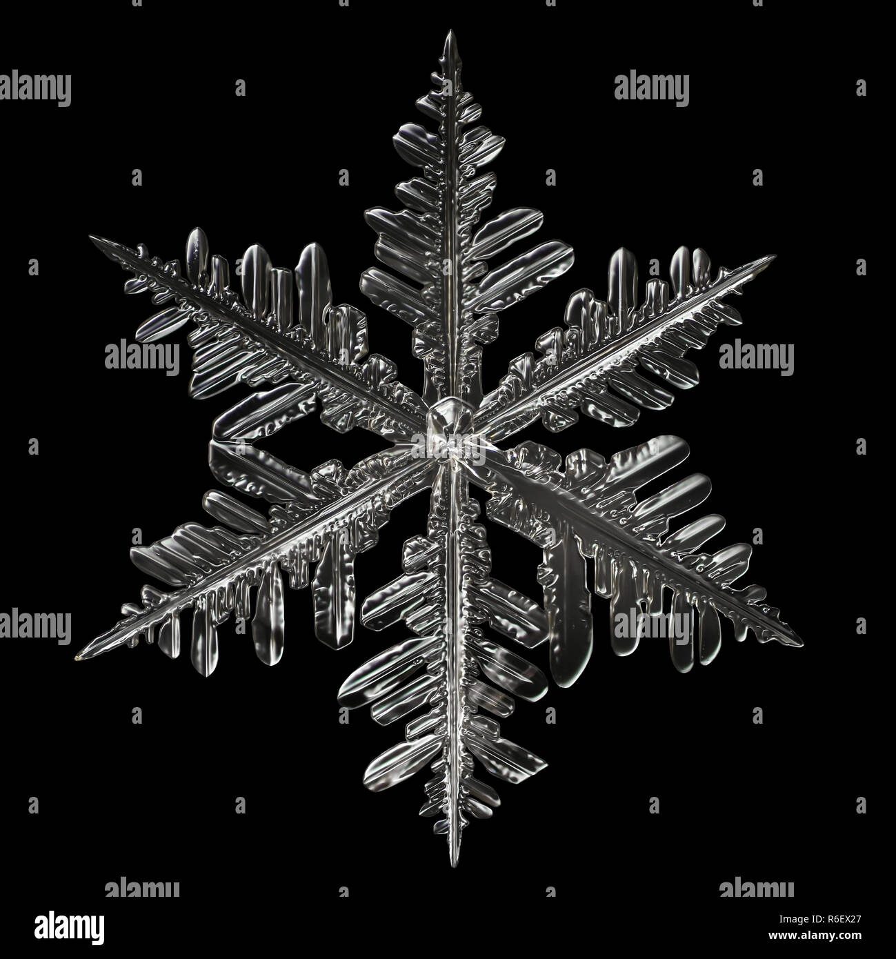 Extreme magnification - Real snowflake isolated on black background ...