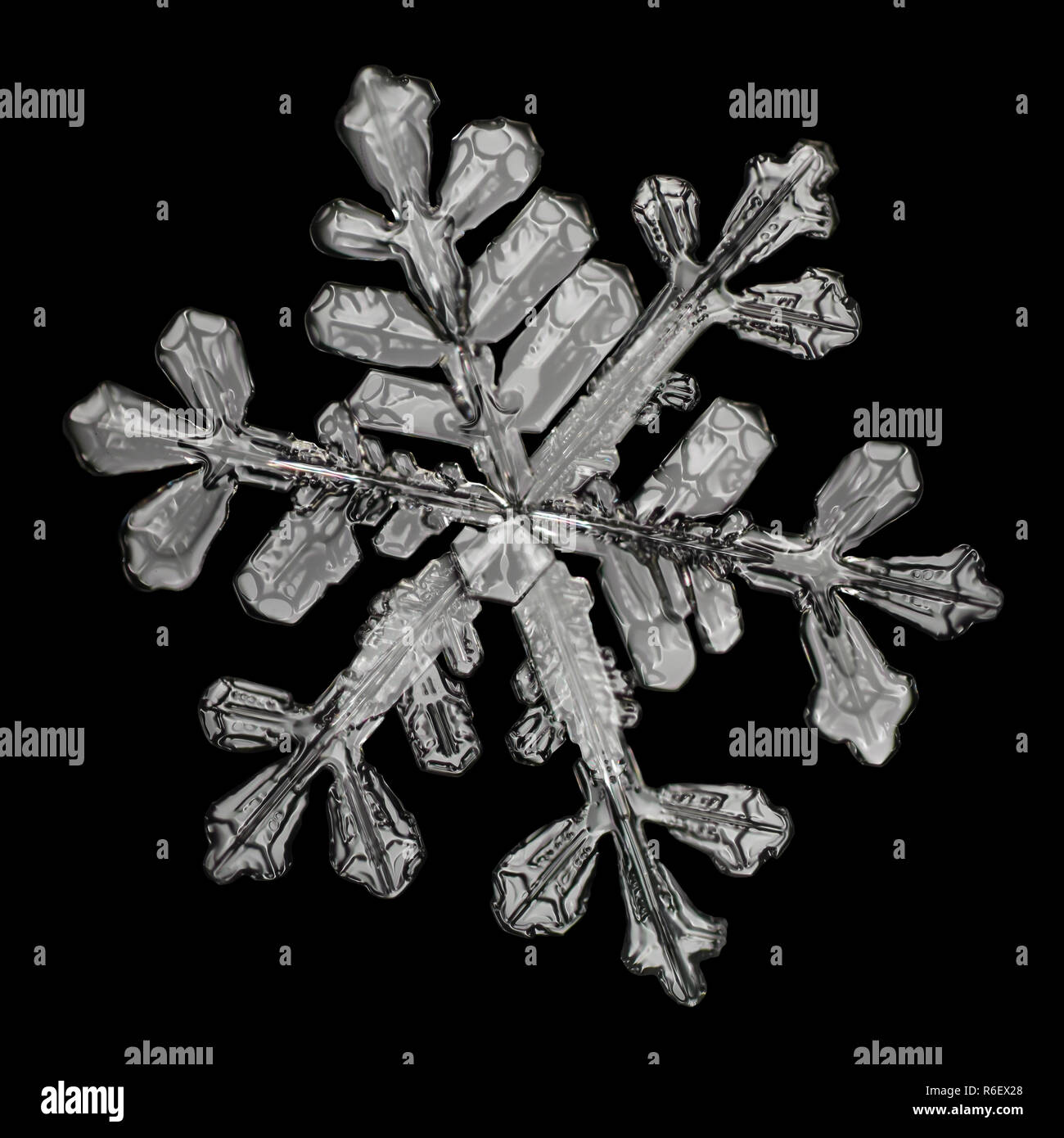 Extreme magnification - Real snowflake isolated on black background ...
