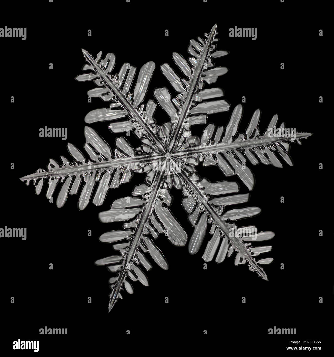 Extreme magnification - Real snowflake isolated on black background ...