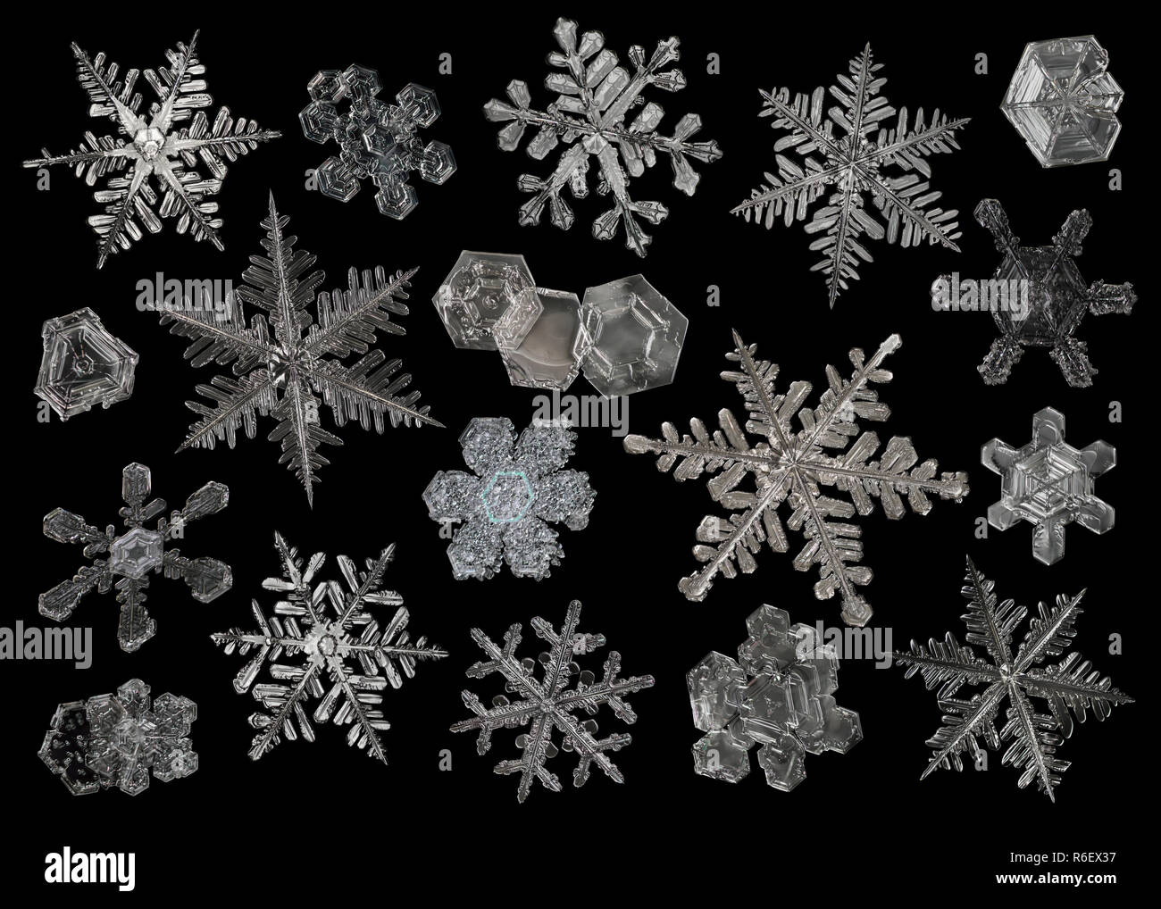 Real Snowflakes Magnified
