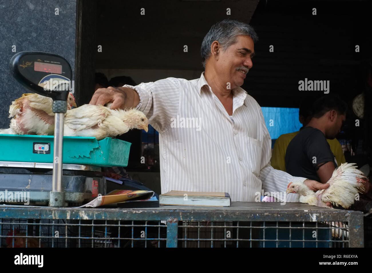 Indian butcher hi-res stock photography and images - Alamy